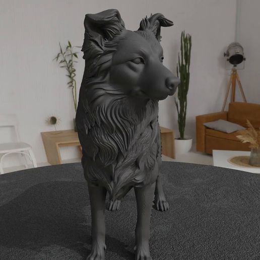 🗿 Border Collie・ STL File for 3D printing・Cults