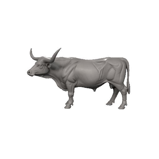 🐂 Texas Longhorn - Realistic 3D Model・ STL File for 3D printing・Cults