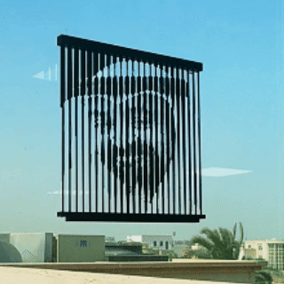 🗿 Sheikh Zayed to Sheikh Mohamed Bin Zayed – 3D Optical Illusion ...