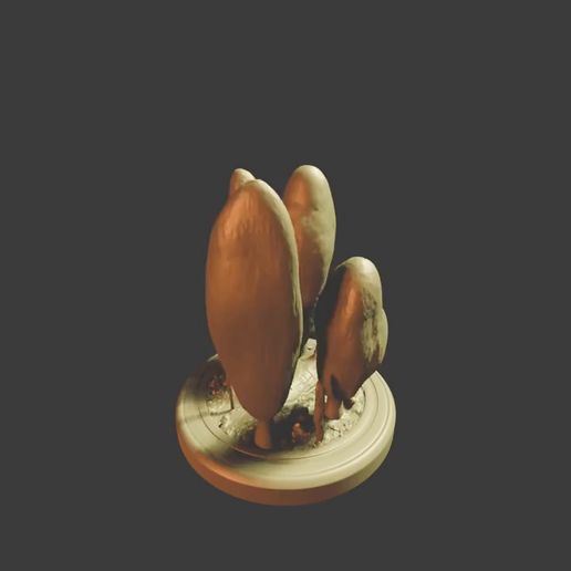 🧪 Xylaria polymorpha – MacroFungi Collection: Second Edition (1 of 10 ...