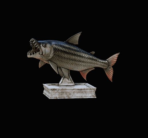 🐠 fish tigerfish / Hydrocynus goliath in motion trophy 2 statue ...