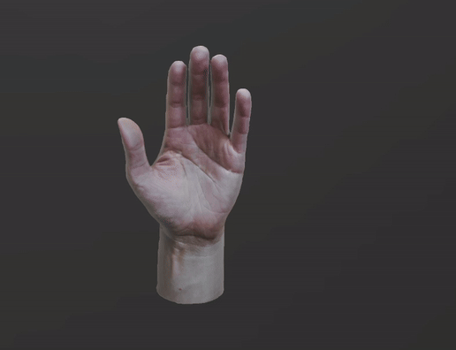 Archivo 3D DBX Human Hand 3 Stl Obj Glb for 3D Print ・Plan para ...
