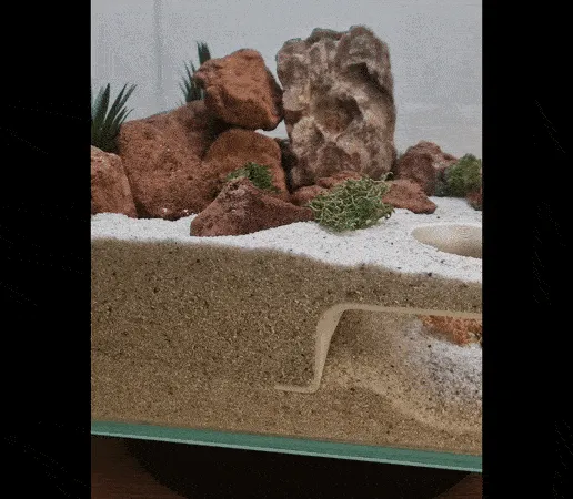 🌋 Volcano Terrarium & Aquarium Corner Cave | Fish Shelter & Terrarium ...