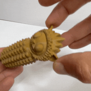 🩻 Spiky Anxiety Relief Stim Tool | ADHD & Sensory Toy・ STL File for 3D ...