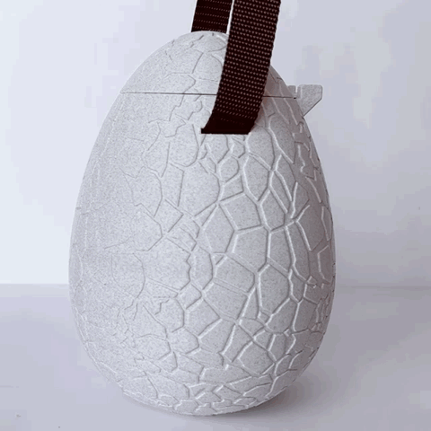 white dinosaur egg