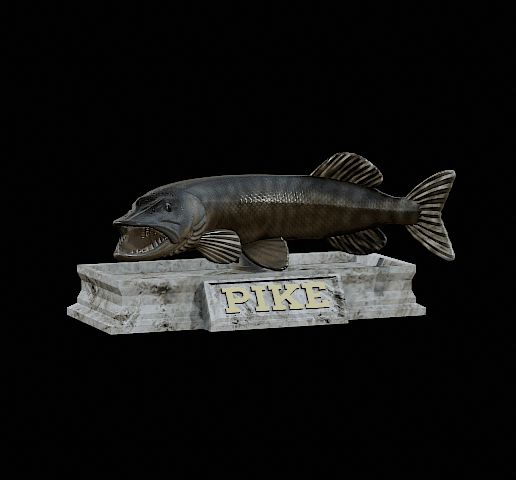 🐠 fish Northern pike / Esox lucius in motion open mouth statue detailed ...