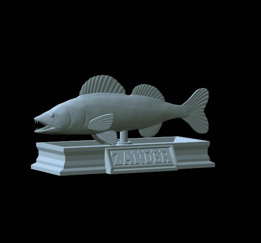 STL file fish zander / pikeperch / Sander lucioperca open mouth statue ...