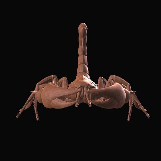 🦖 Pulmonoscorpius kirktonensis・ STL File for 3D printing, CNC machining ...