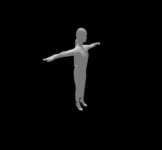 ♀️ Weiblicher menschlicher Charakter T-Pose・ STL Datei für 3D-Druck・Cults