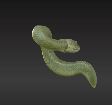 🐍 Modèle de serpent enveloppé - Animal stylisé pour l'impression 3D ...