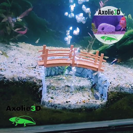 🐠 FISH TANK CAVE WITH WOODEN BRIDGE・ STL File for 3D printing・Cults