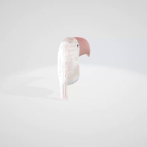 🐦 Bird Toucan figure・ STL File for 3D printing・Cults