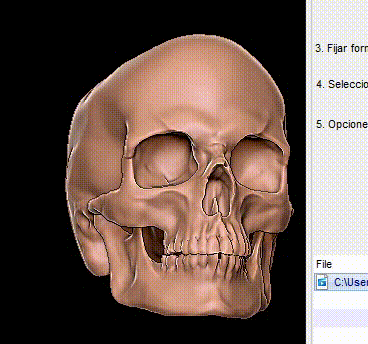 💀 Skull Container・ STL File for ・Cults