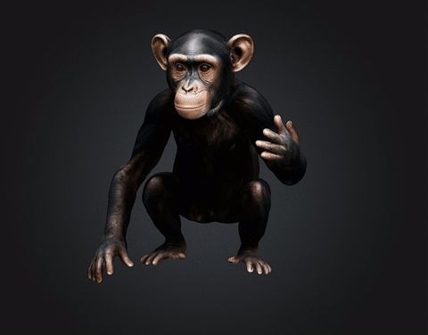 3D file GMA Monkey Stl Obj Glb for 3D Printer 🐒 ・3D printer design to ...