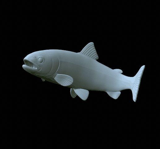 🐠 fish rainbow trout / Oncorhynchus mykiss trophy statue detailed texture for 3d printing・ STL ...