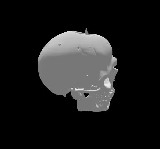 💀 Realistic Skull with Spiked Top・ STL File for 3D printing・Cults