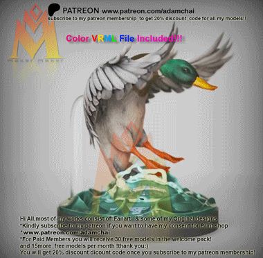 🦆 Mallard Duck Landing (VRML color file is Included )-Animals ...