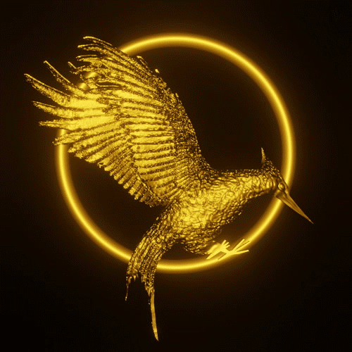 mockingjay pin on fire