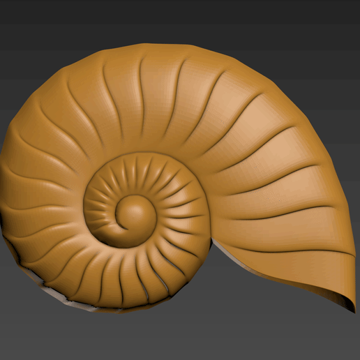 STL file Seashell Shell Clam 🐚 (OBJ)・Template to download and 3D print ...