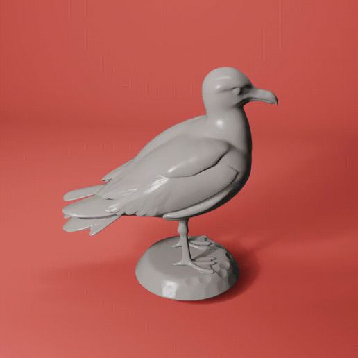 🐦 Seagull 3D Model | Realistic Coastal Bird for 3D Printing・ STL File ...