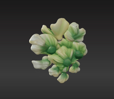 🪵 Realistic Wood Decay with Mold Clusters – 3D Bio Texture Model・ STL ...