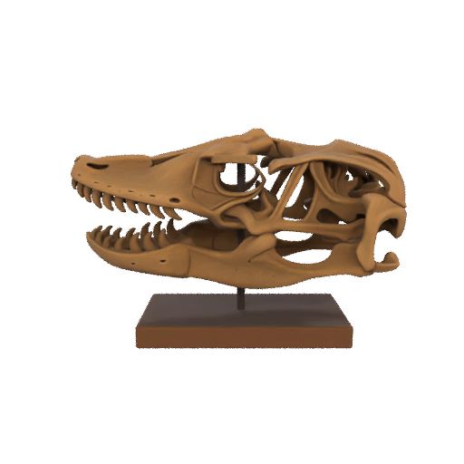 💀 Megalania Skull with Base・ STL File for 3D printing・Cults