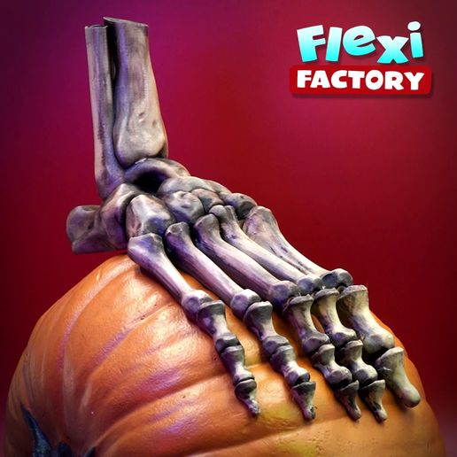 🧑‍🏭 Flexi Factory Print-in-Place Skeleton Foot・Archivo STL para ...