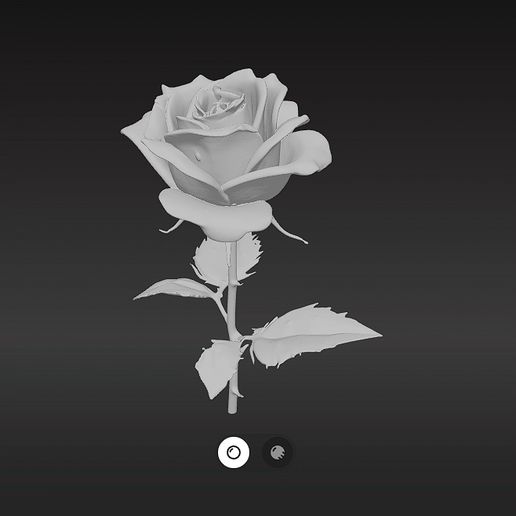 🌹 Beautiful Rose・ STL File for 3D printing・Cults