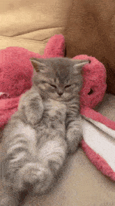 😴 Suporte Alexa Echo Dot 4a e 5a Geração Sleeping Cat Version 4・ STL ...