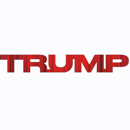 🗝️ Text Flip - DONALD TRUMP・ STL File for 3D printing・Cults