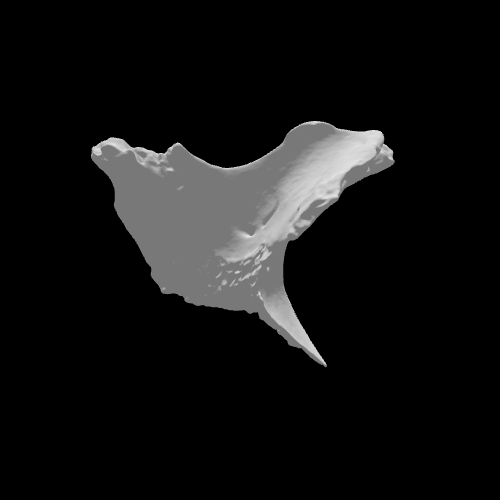 🦴 Human Zygomatic Bone – 3D Printable Skull Anatomy Model - Dr.Brkyth ...