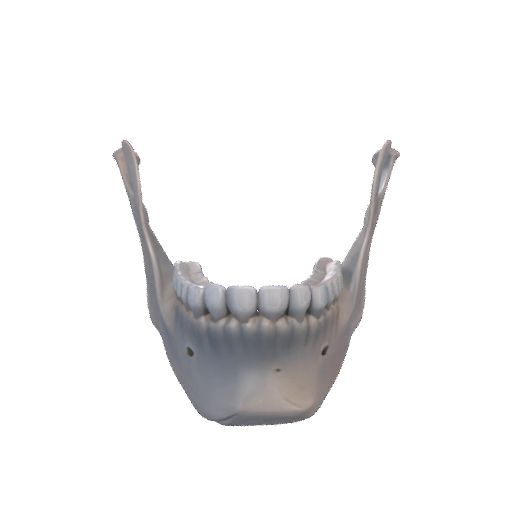 💀 3D Model: Human Jaw (Mandible)・ STL File for 3D printing・Cults