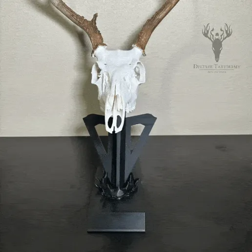 💀 Broadhead Desktop Skull Display・ STL File for 3D printing・Cults