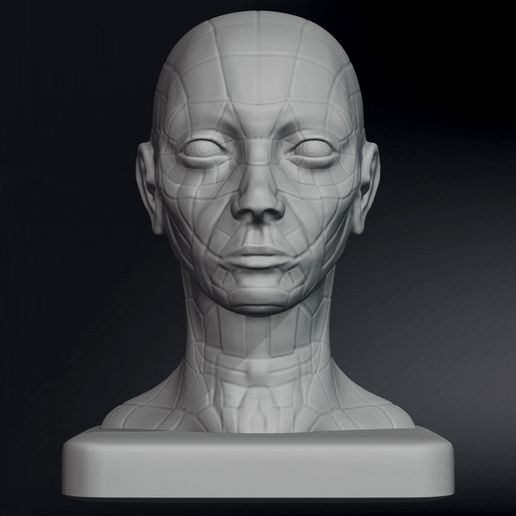 Asaro Lady-Bot / Female Asaro Robot Head 🤖・ STL File for 3D printing・Cults
