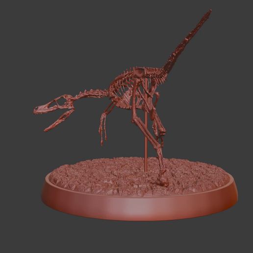 🦖 VELOCIRAPTOR - FOSSIL・ STL File for 3D printing・Cults