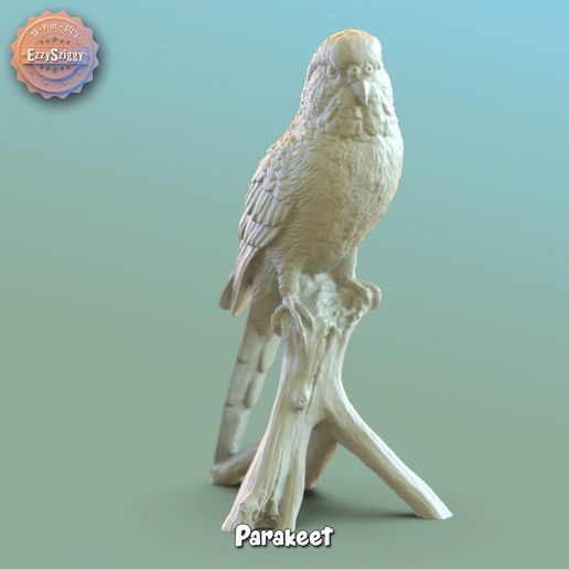 🐦 Realistic Parakeet 1:1 Scale・ 3D File for 3D printing・Cults