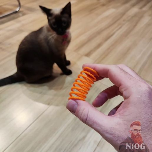Spring Cat Toy 🐾– Fun Spring for Cats!・ STL File for 3D printing・Cults