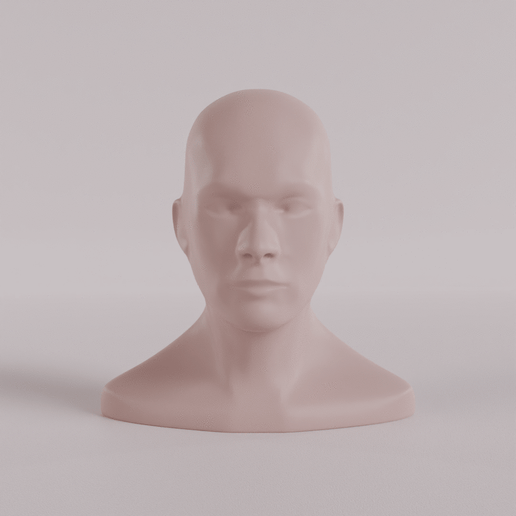 👤 bust base male・ STL File for ・Cults