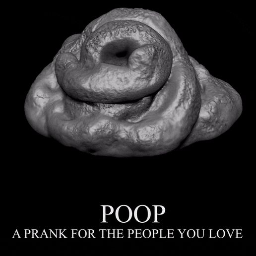 💩 3D PRINTABLE POOP PRANK TWO PACK・ STL File for 3D printing・Cults